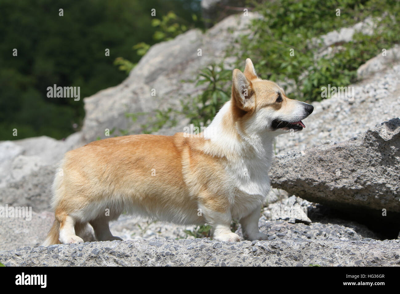 Profile of rocks hi-res stock photography and images - Alamy