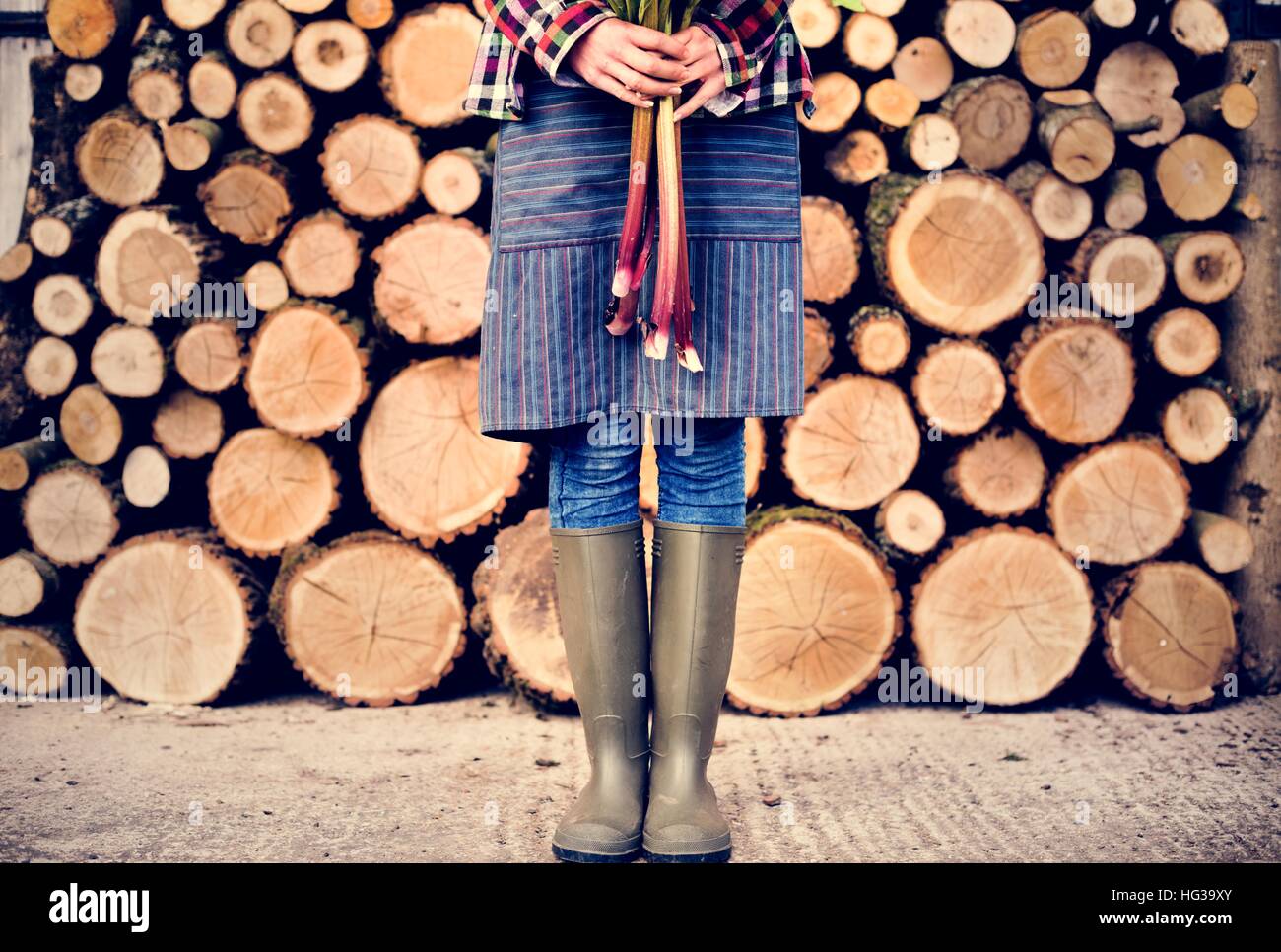 Firewood Fuelwood Lumber Timber Lumber Log Concept Stock Photo - Alamy