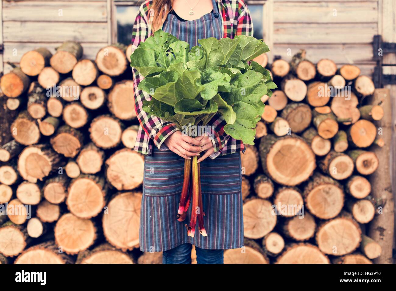 Firewood Fuelwood Lumber Timber Lumber Log Concept Stock Photo - Alamy