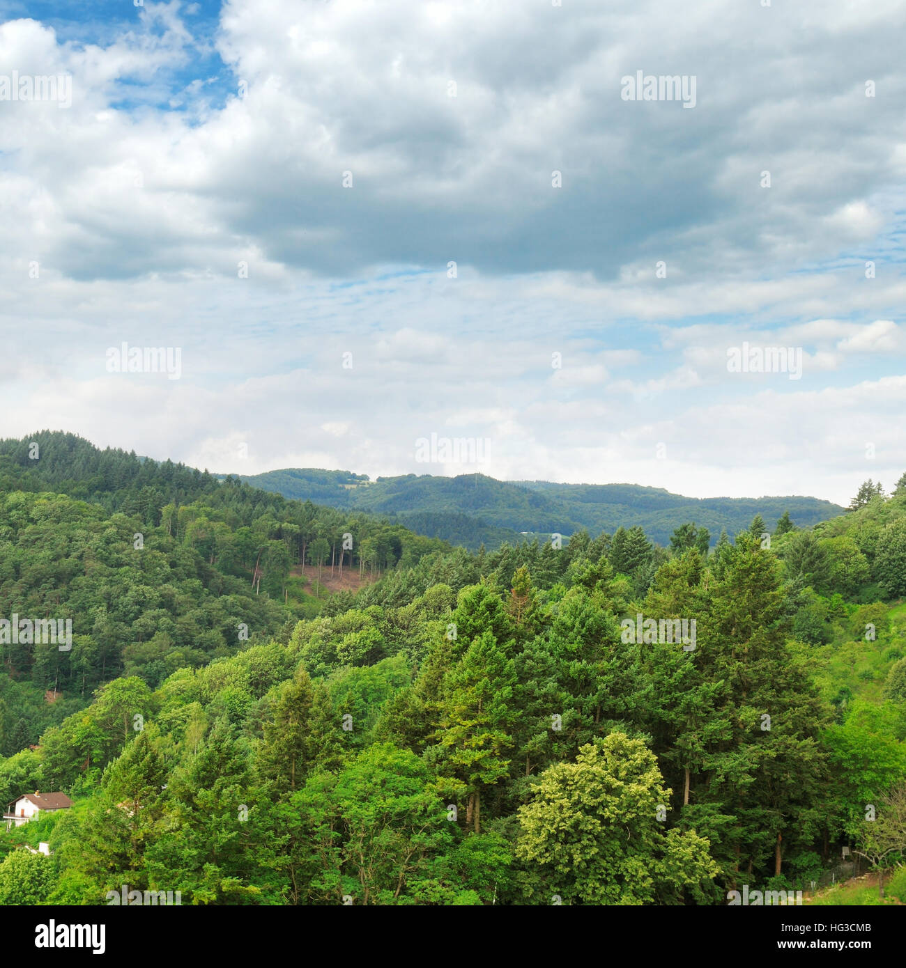 Top view hills covered forests hi-res stock photography and images - Alamy