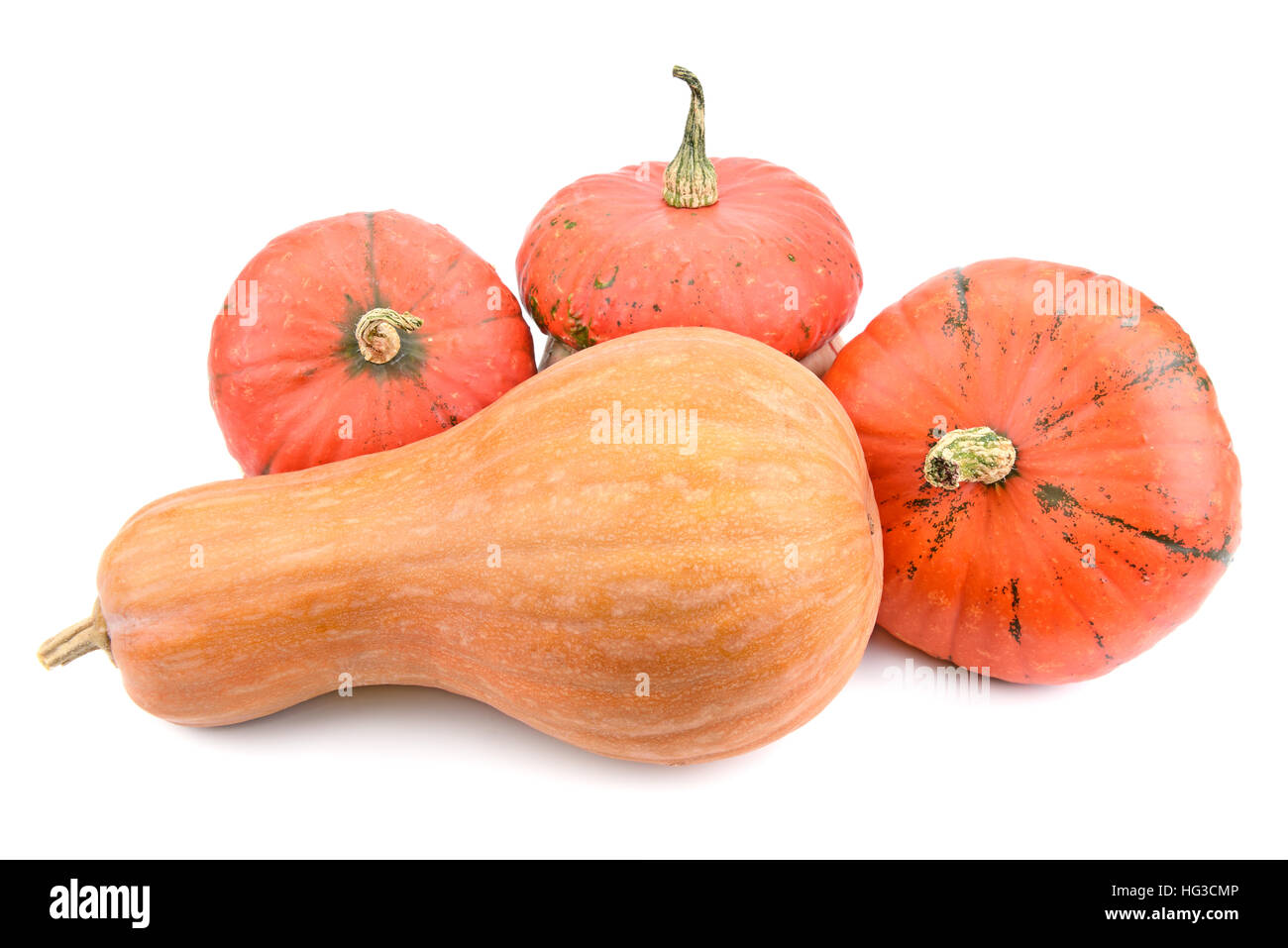 ripe pumpkin isolated on white background Stock Photo - Alamy