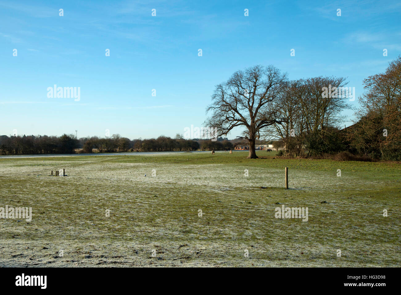A field in Hound near Southampton still showing the frost after a very ...