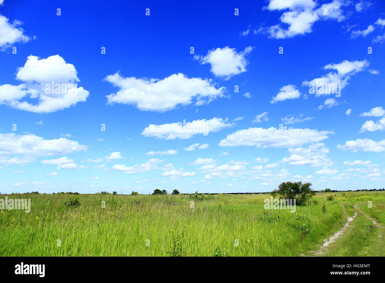 beautiful summer landscape with field country road and clouds. Nice ...