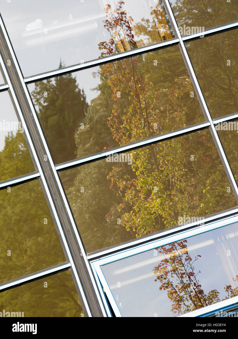 Trees reflecting in windows Stock Photo - Alamy