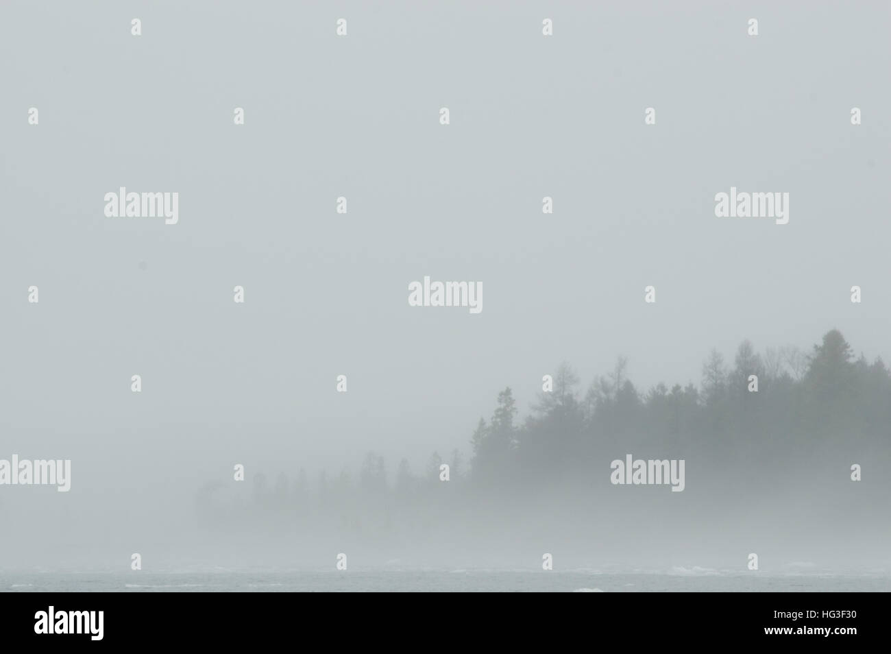 A grey and white background with almost all fog with a few faint tree ...