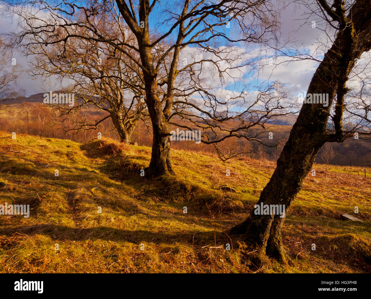 Roybridge hi-res stock photography and images - Alamy