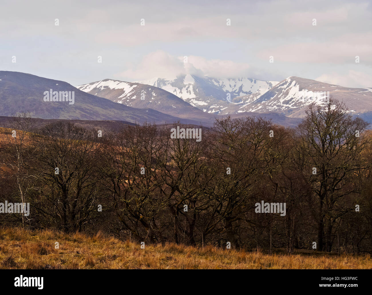 Roybridge hi-res stock photography and images - Alamy