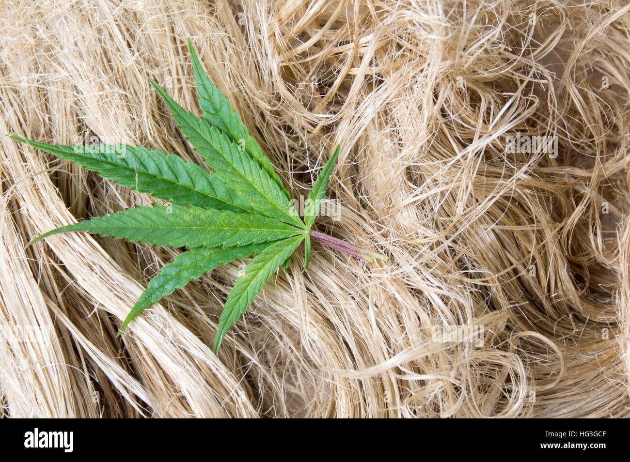 Dried Hemp Fiber High Resolution Stock Photography and Images - Alamy
