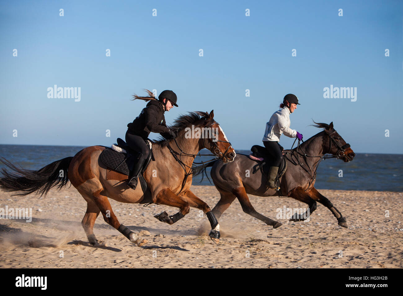 Horses galloping on beach hi-res stock photography and images - Alamy