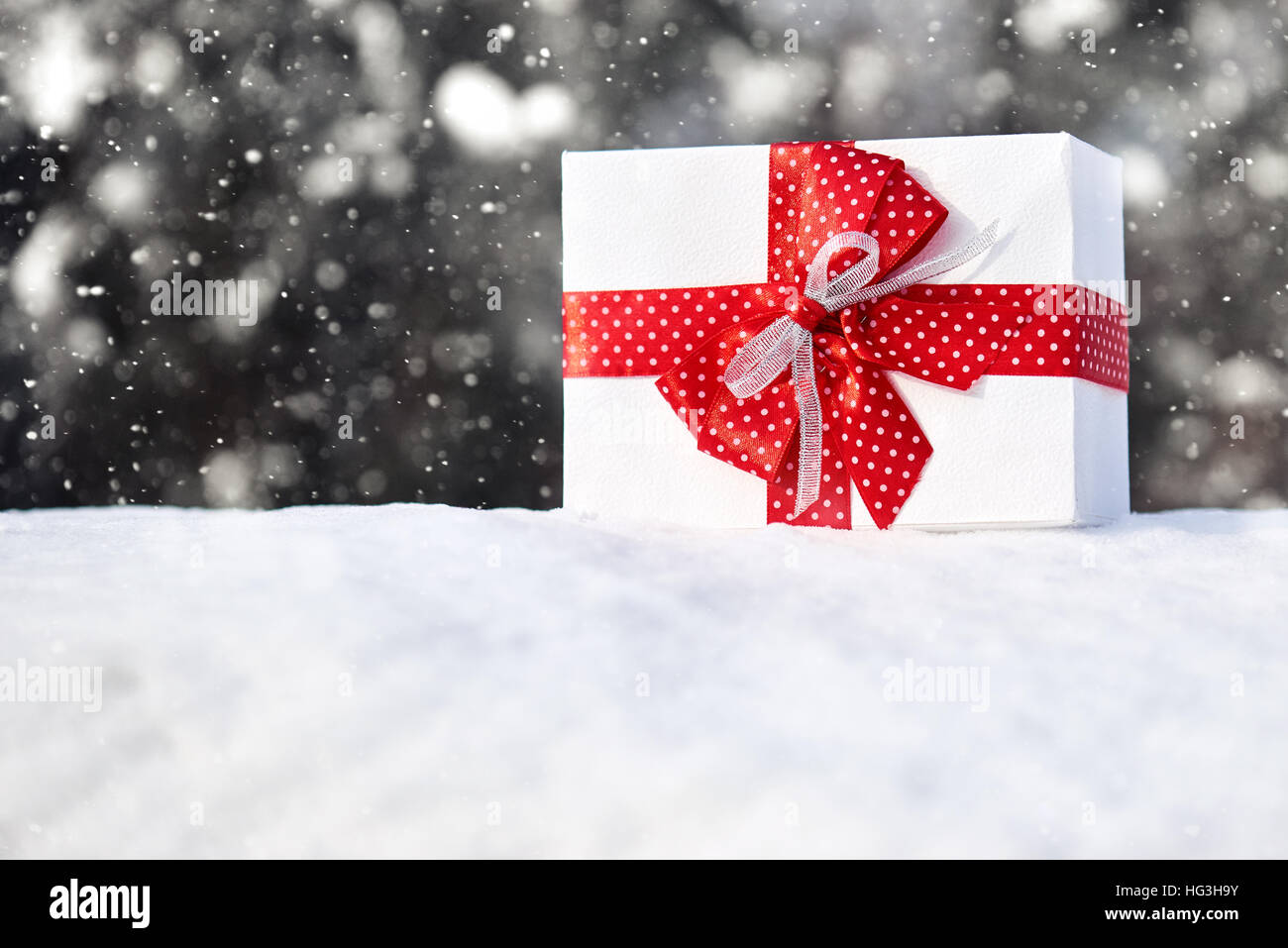 gift box with red bow in the snow on forest background, christmas ...