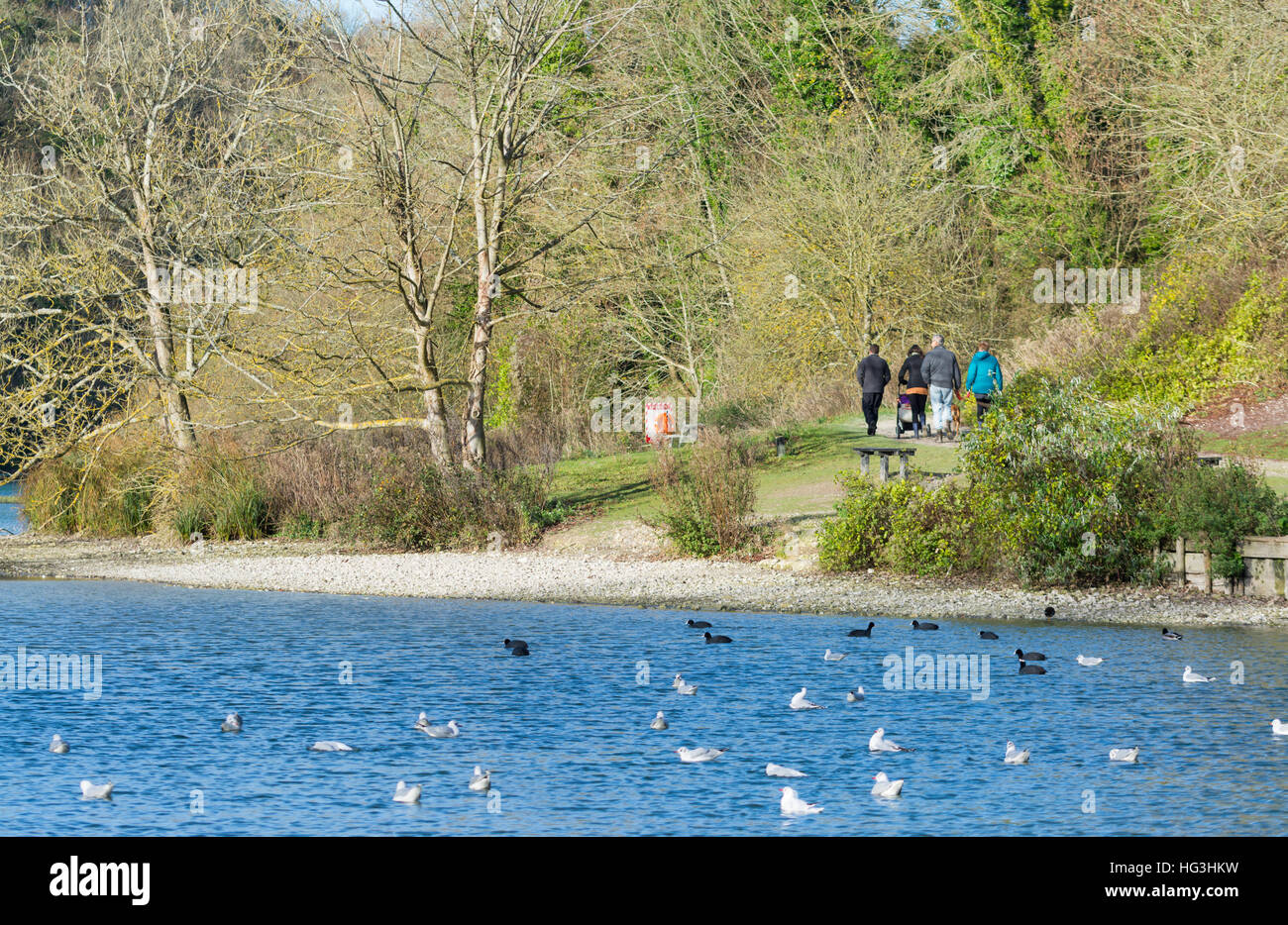 Swanbourne Lake and grounds with bare trees in Winter, with people ...