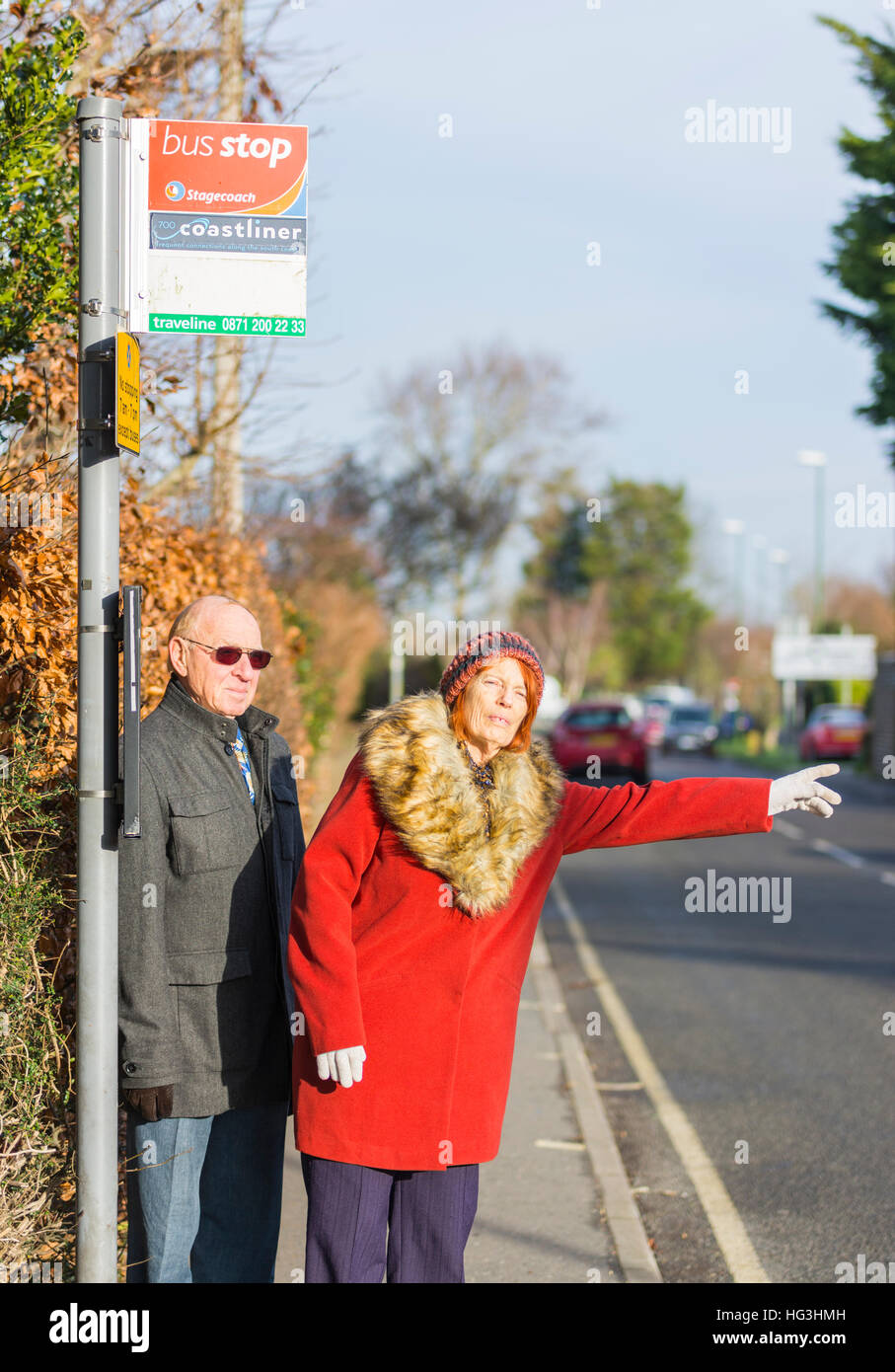 Senior couple at a bus stop hailing a bus, in the UK. Waiting for bus ...