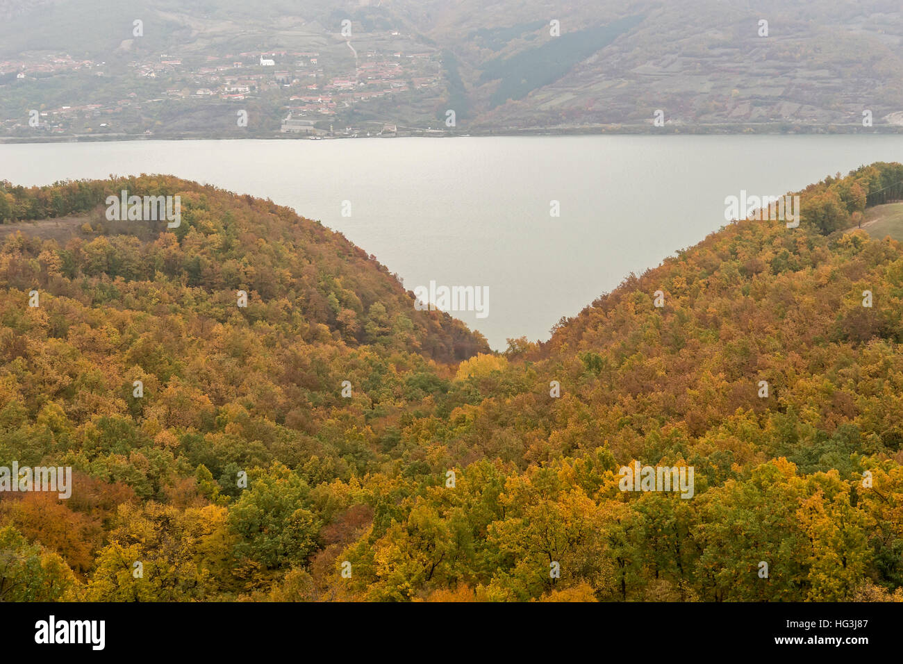 Autumn day in the woods with golden brown leaves near Danube river in ...