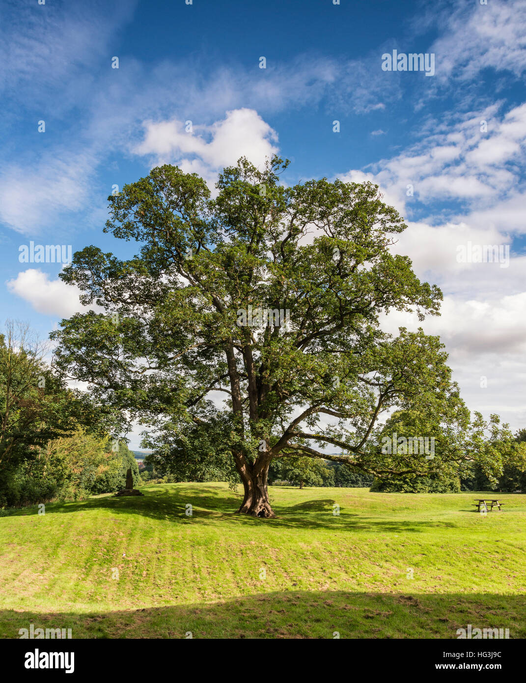 Yorkshire summers hi-res stock photography and images - Alamy