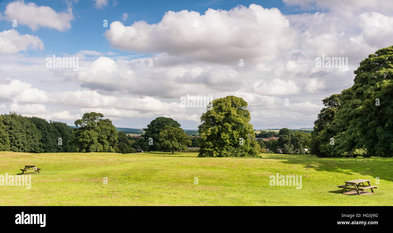 Orchard Fields, Malton, Yorkshire on a summer's evening Stock Photo - Alamy