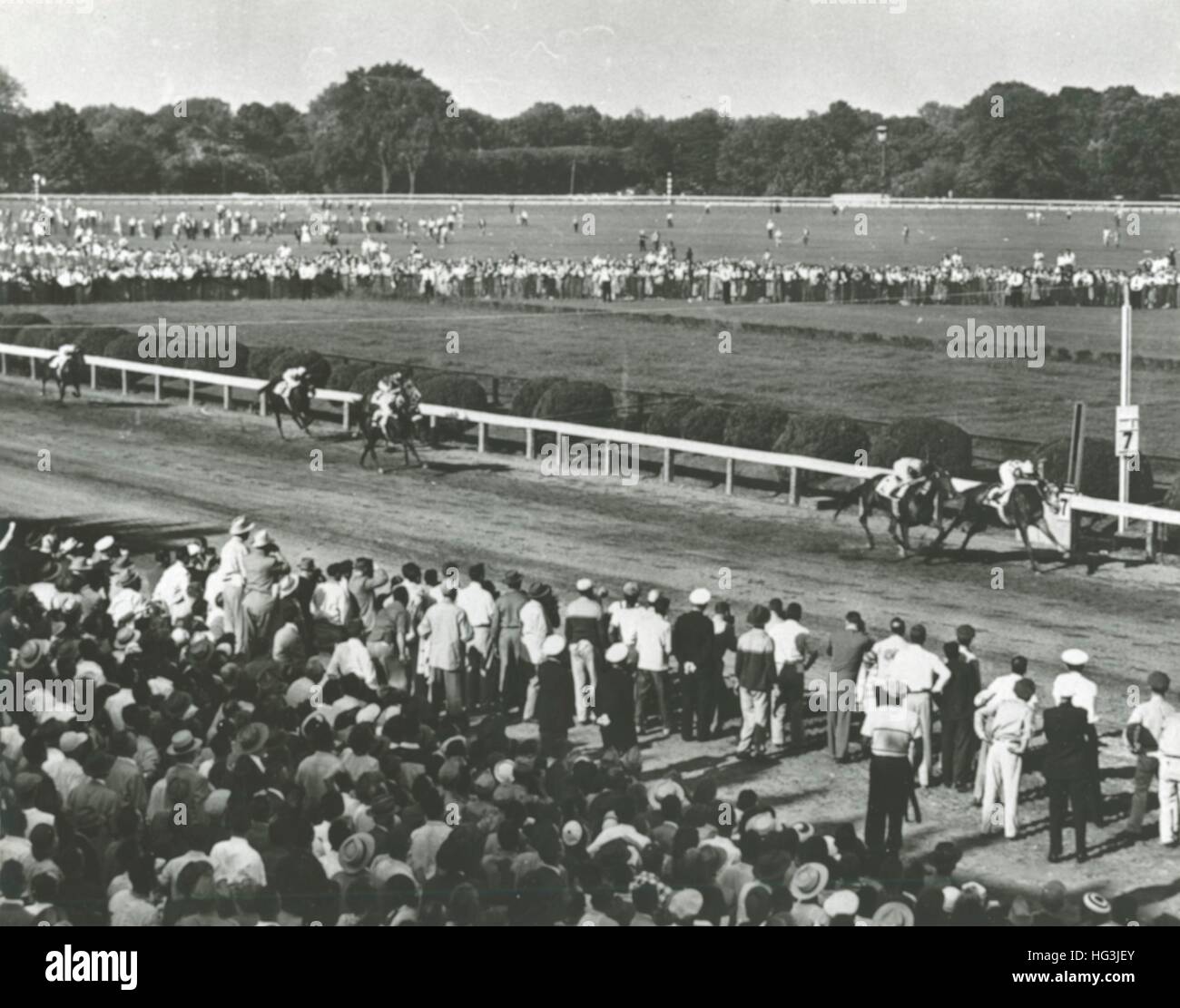 Finish, The Preakness, May 23, 1953, won by Native Dancer, Eric Guerin ...