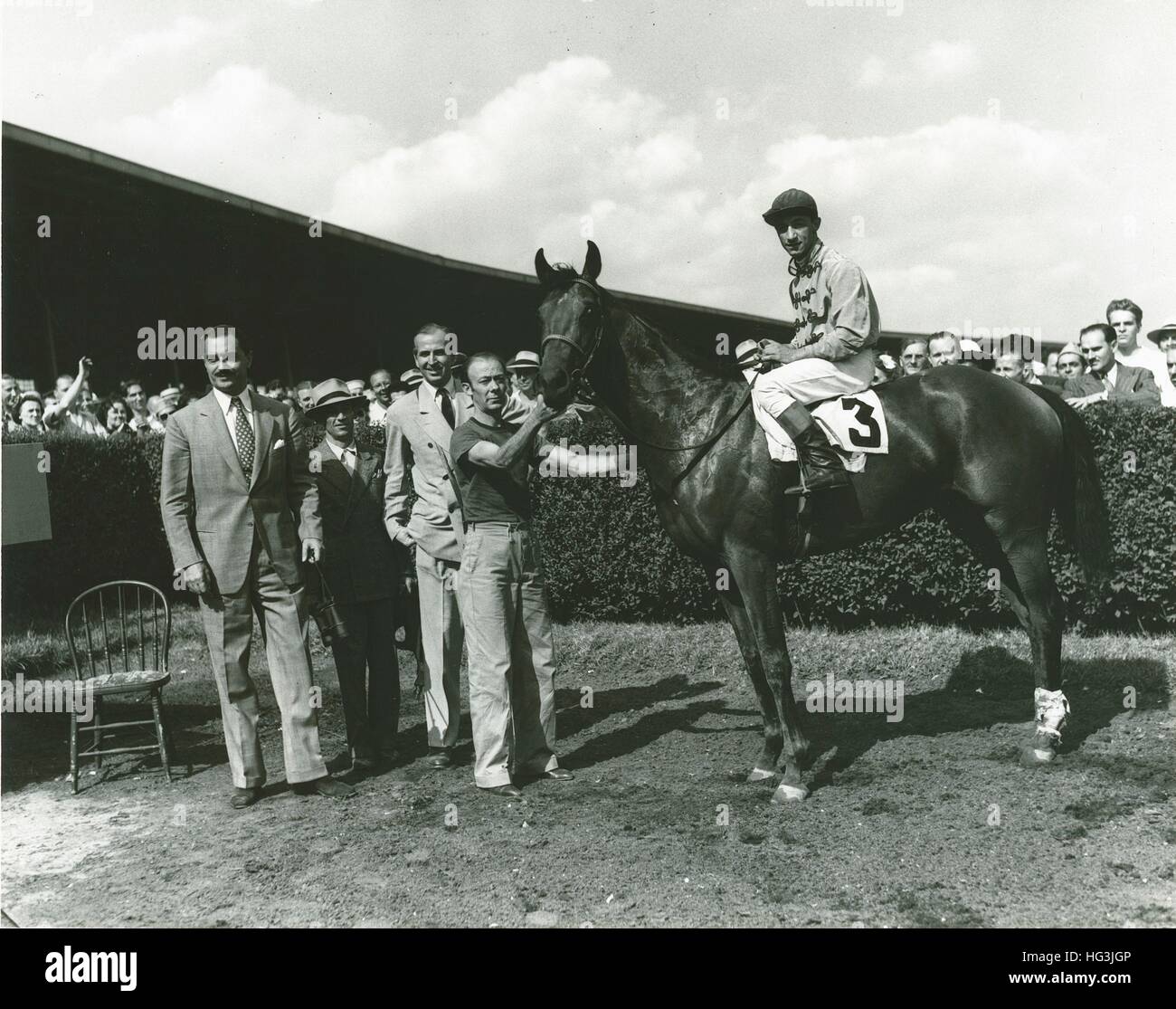 Number three horse hi-res stock photography and images - Alamy