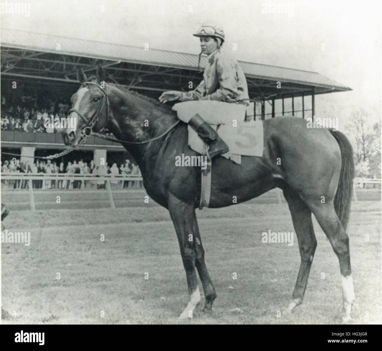 Northern dancer kentucky derby hi-res stock photography and images - Alamy