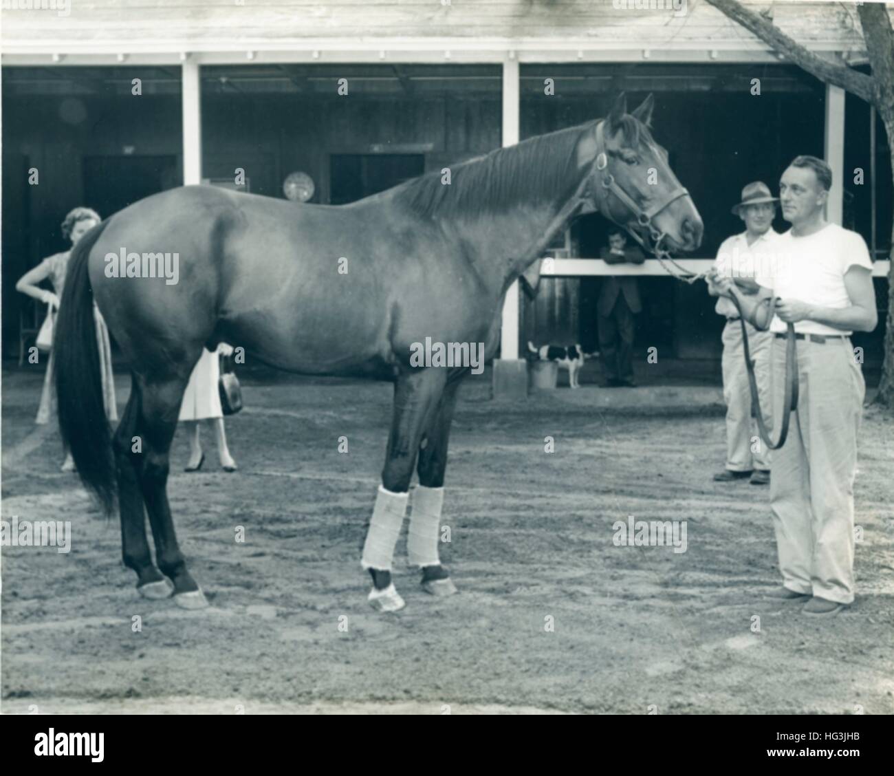 William woodward jr hi-res stock photography and images - Alamy