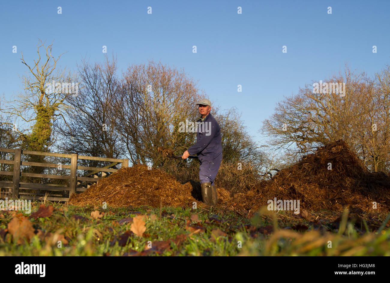 Straw manure hi-res stock photography and images - Alamy