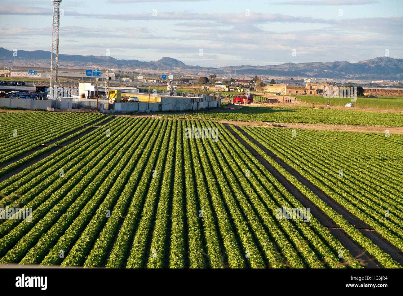 Cultivation field murcia province hi-res stock photography and images ...