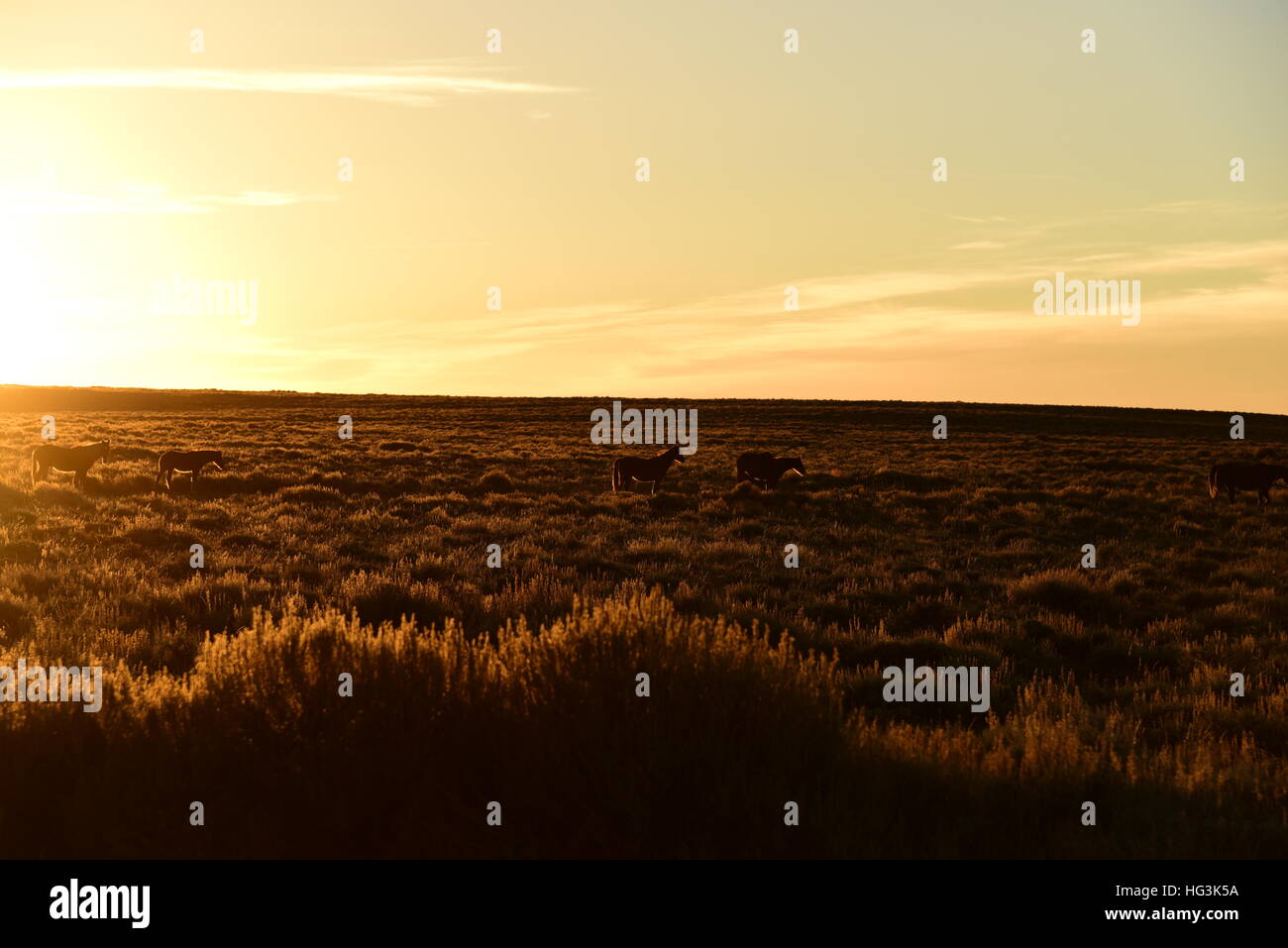 Pilot butte hi-res stock photography and images - Alamy