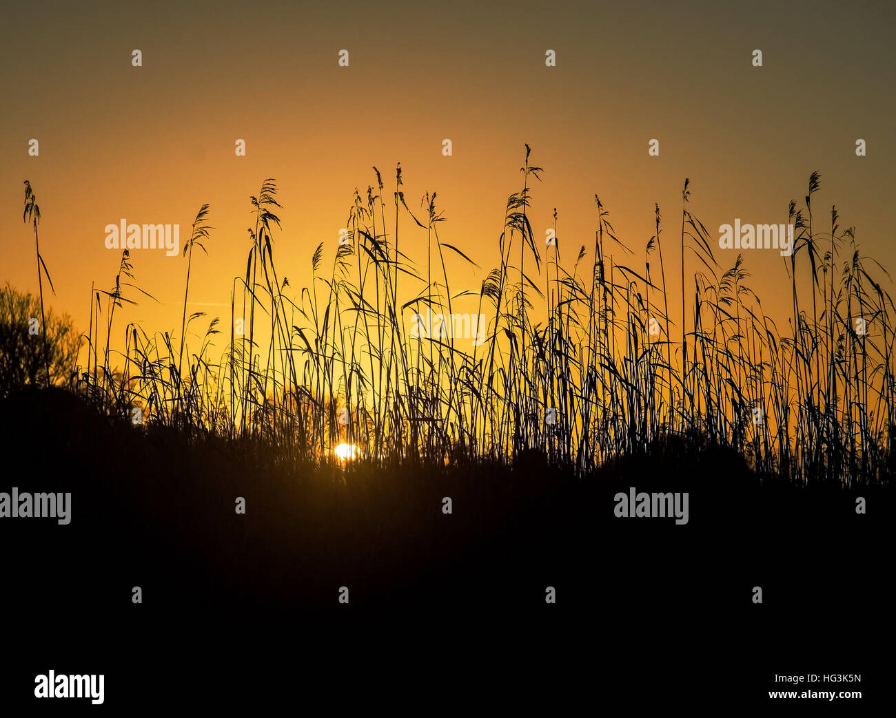 Face the rising sun hi-res stock photography and images - Alamy