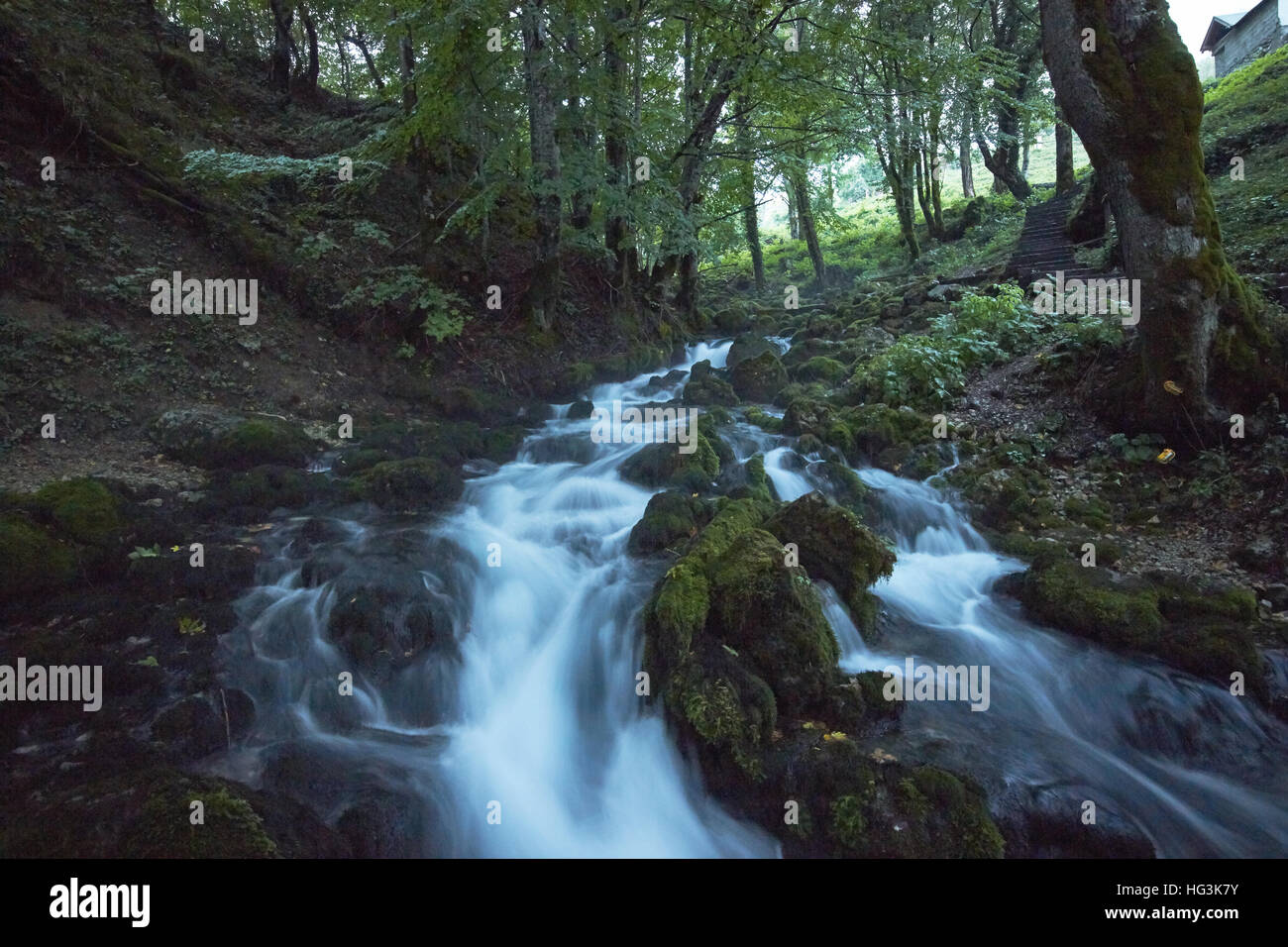 fast flowing rivers in the forests of Montenegro Stock Photo - Alamy