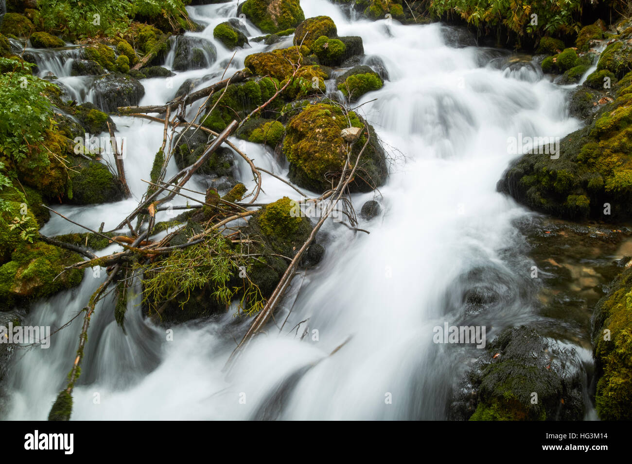 fast flowing rivers in the forests of Montenegro Stock Photo - Alamy