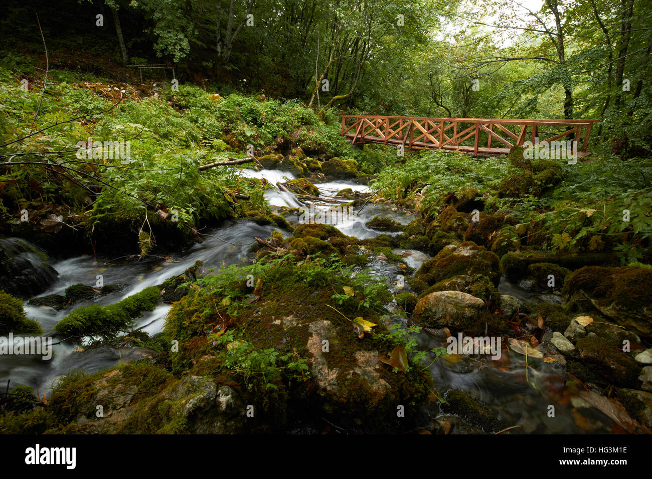 fast flowing rivers in the forests of Montenegro Stock Photo - Alamy