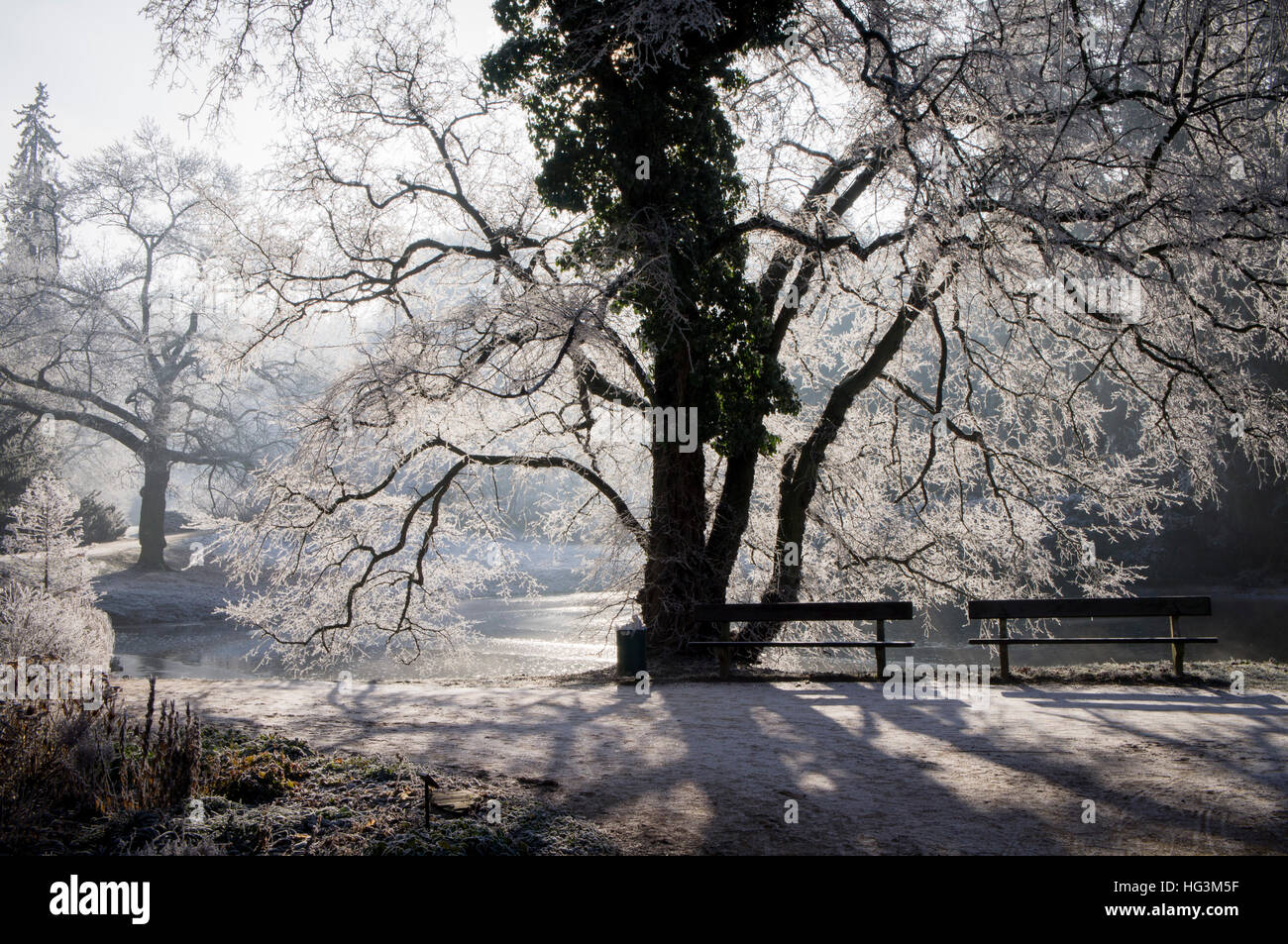 Pruhonice Castle, Park, winter, hoar frost, bench Stock Photo - Alamy