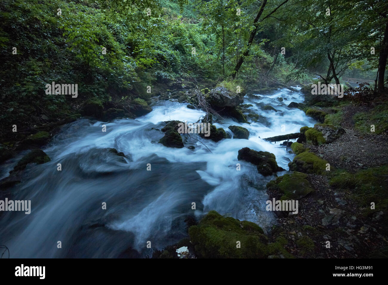 fast flowing rivers in the forests of Montenegro Stock Photo - Alamy