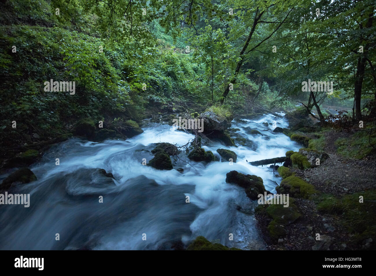 fast flowing rivers in the forests of Montenegro Stock Photo - Alamy