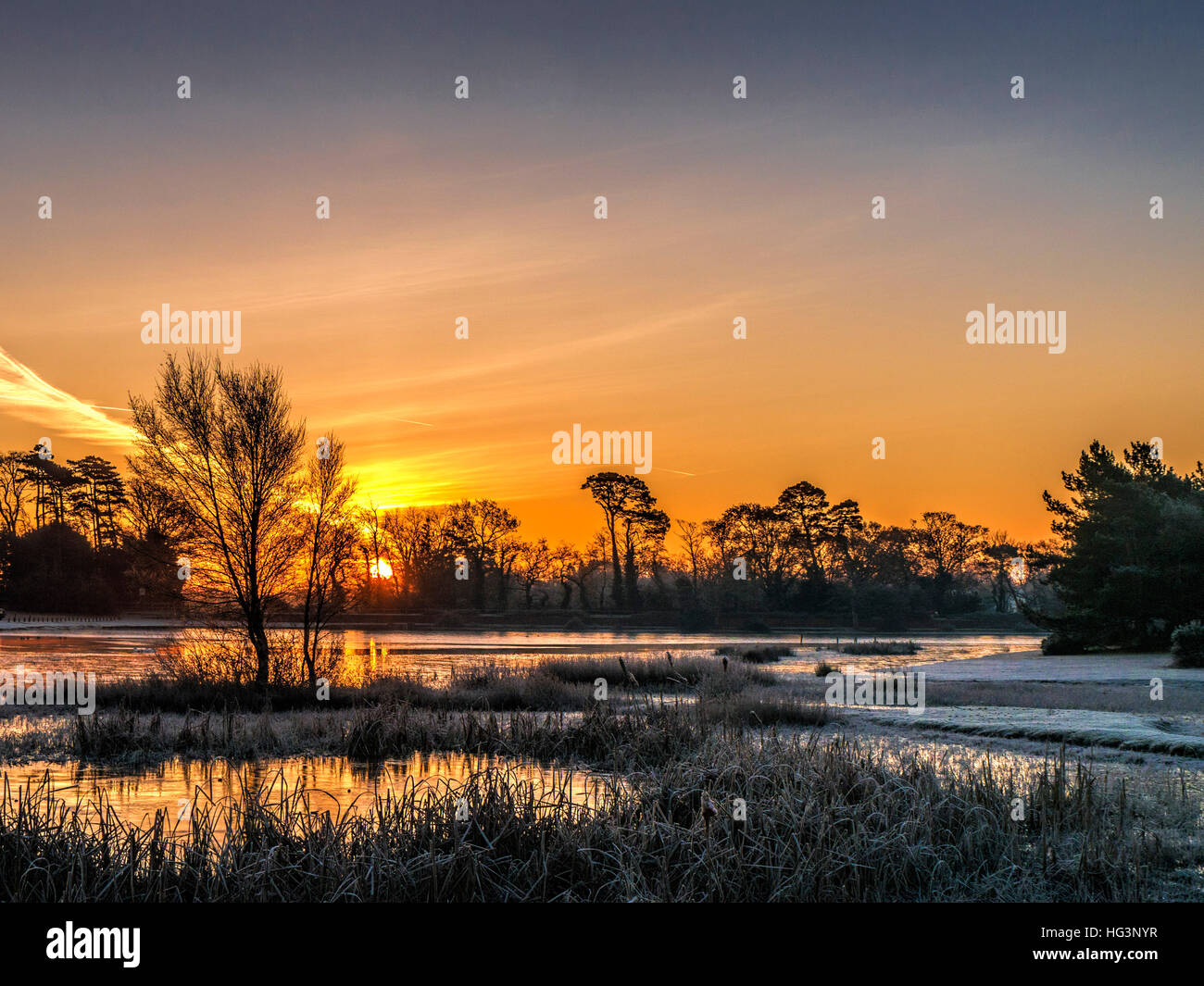 Sunrise over Hatchet Pond, New Forest, National Park Stock Photo - Alamy