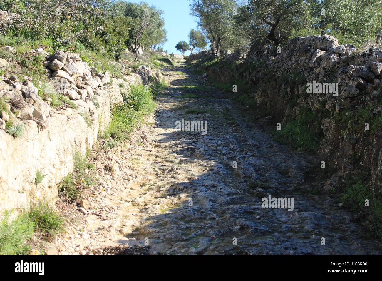 Ancient pathway, farming track Sicilian Nature reserve, limestone, dry ...