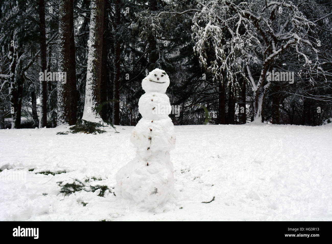Snowman in forest hi-res stock photography and images - Alamy