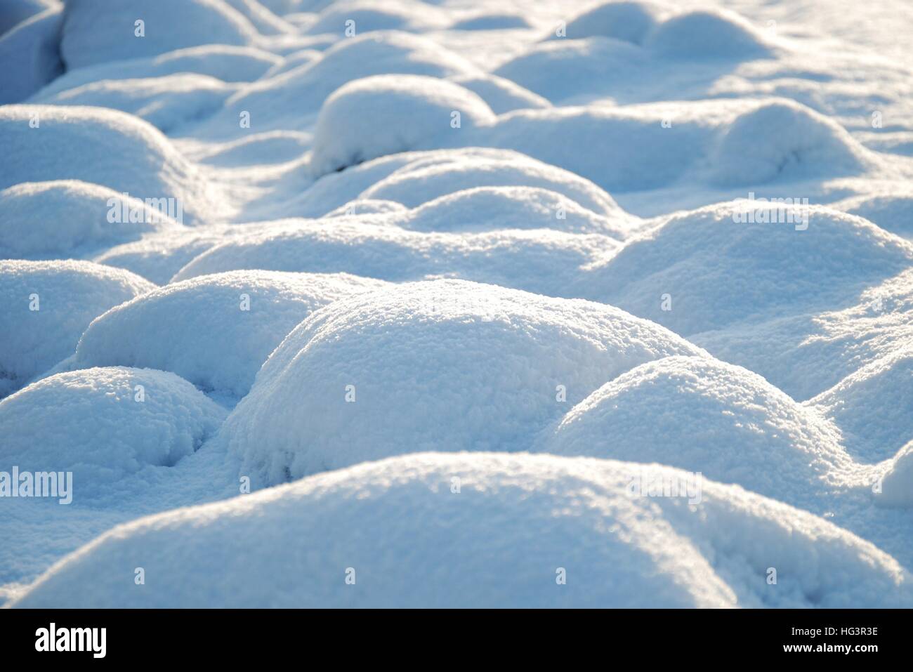 Surface of snow on the sunlight Stock Photo - Alamy