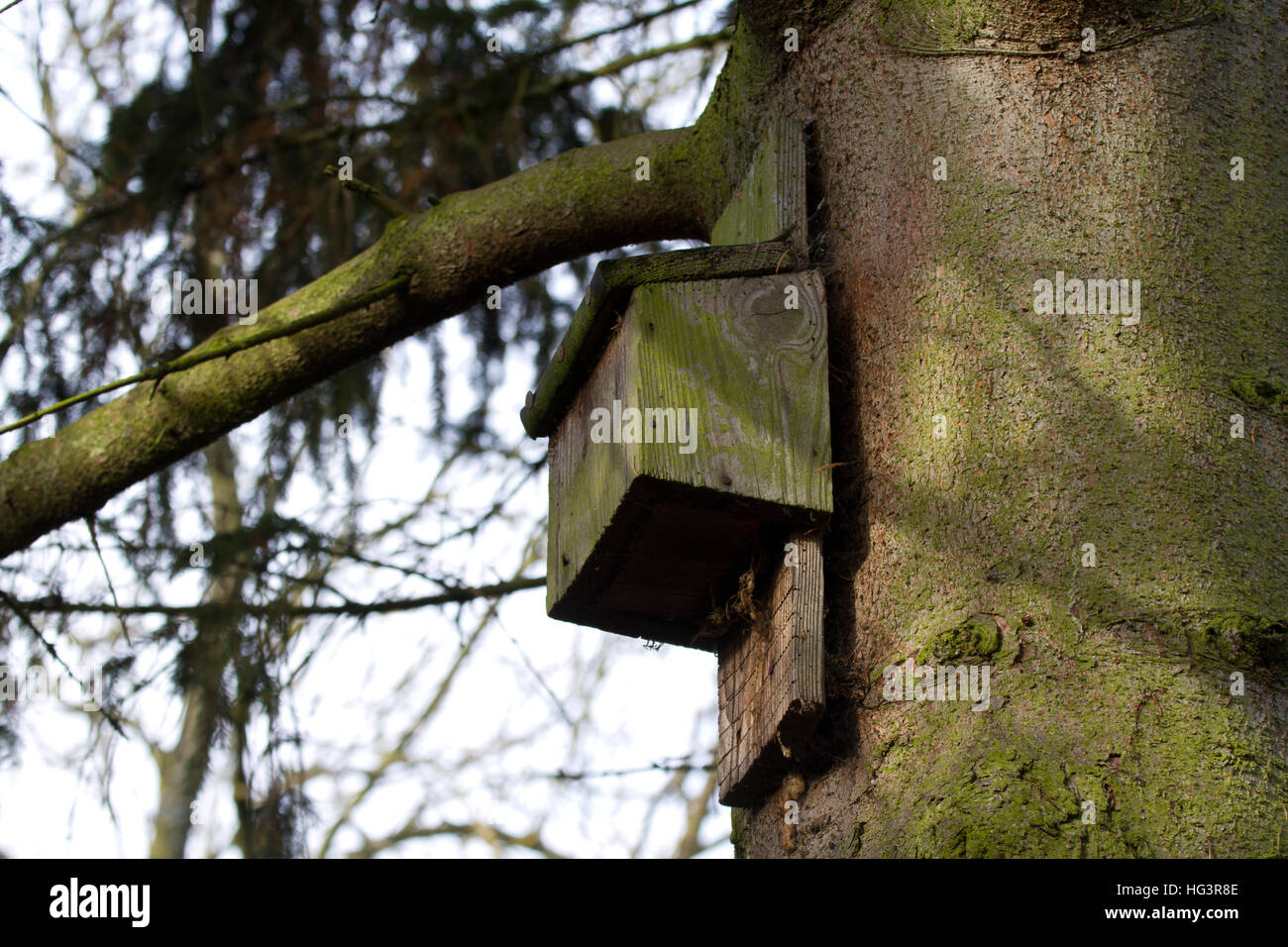 Bat box hi-res stock photography and images - Alamy