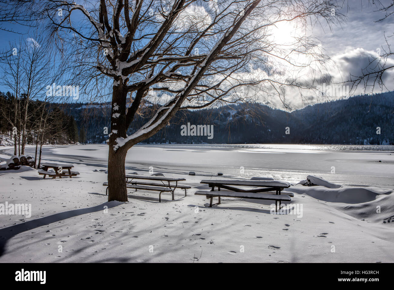 Desolate park by lake in winter Stock Photo - Alamy