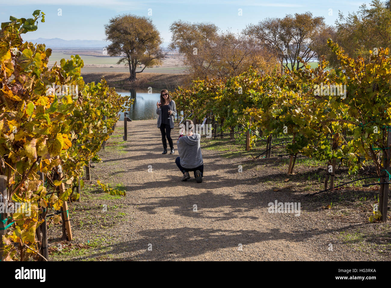 People, wine tasting, vineyard tour, Ram’s Gate Winery, Sonoma, Sonoma ...