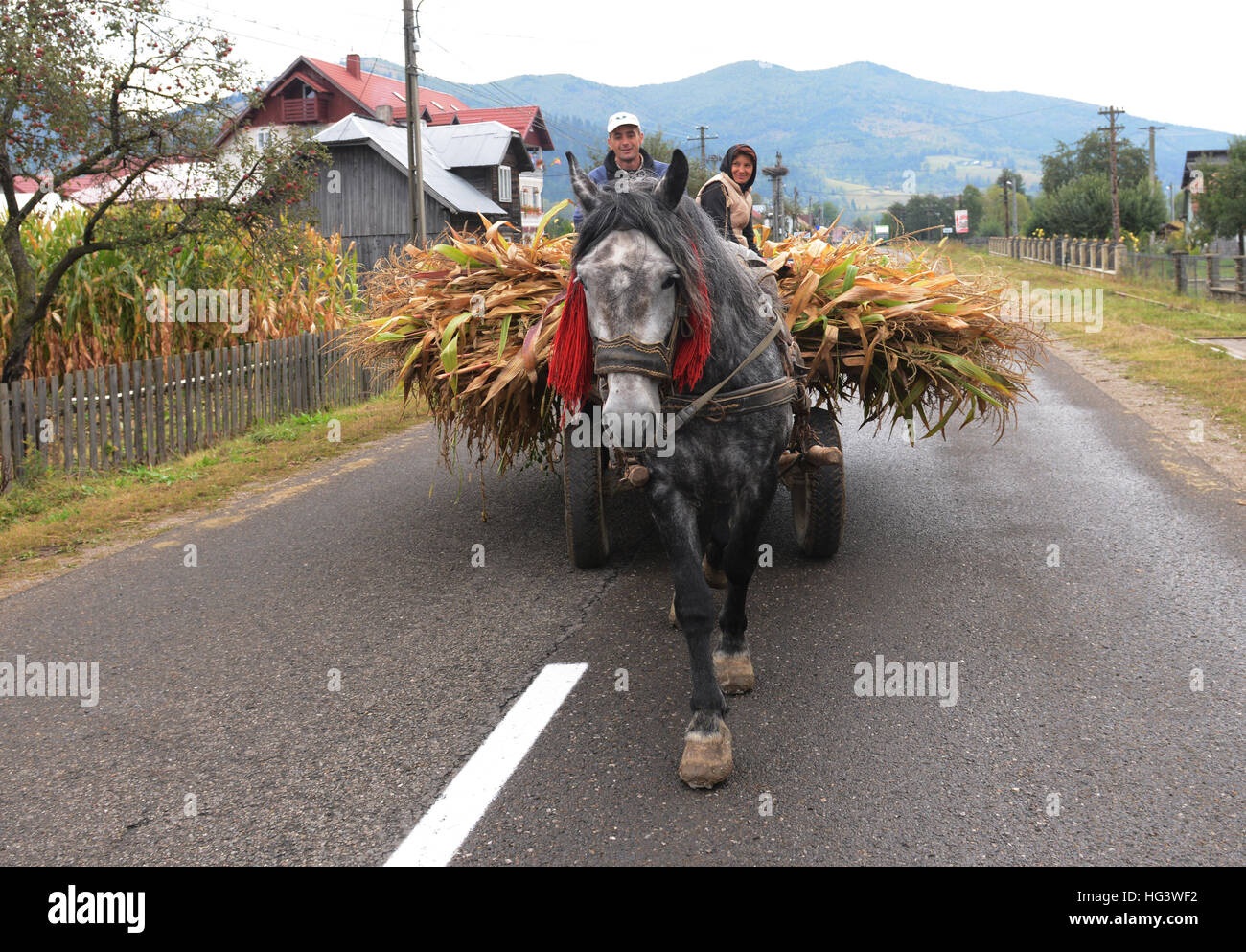Daily scenes in the Bukovina region of northern Romania Stock Photo - Alamy
