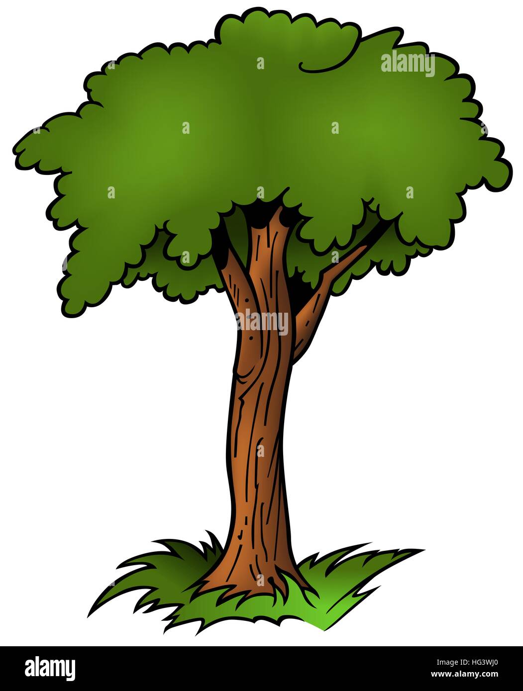 Deciduous tree colored cartoon illustration Stock Vector Images - Alamy