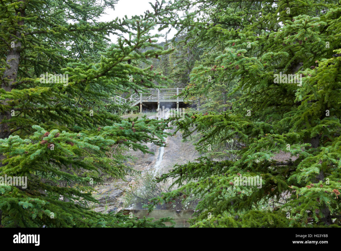 Water from the Banff hot springs streaming down the hillside of Sulphur ...