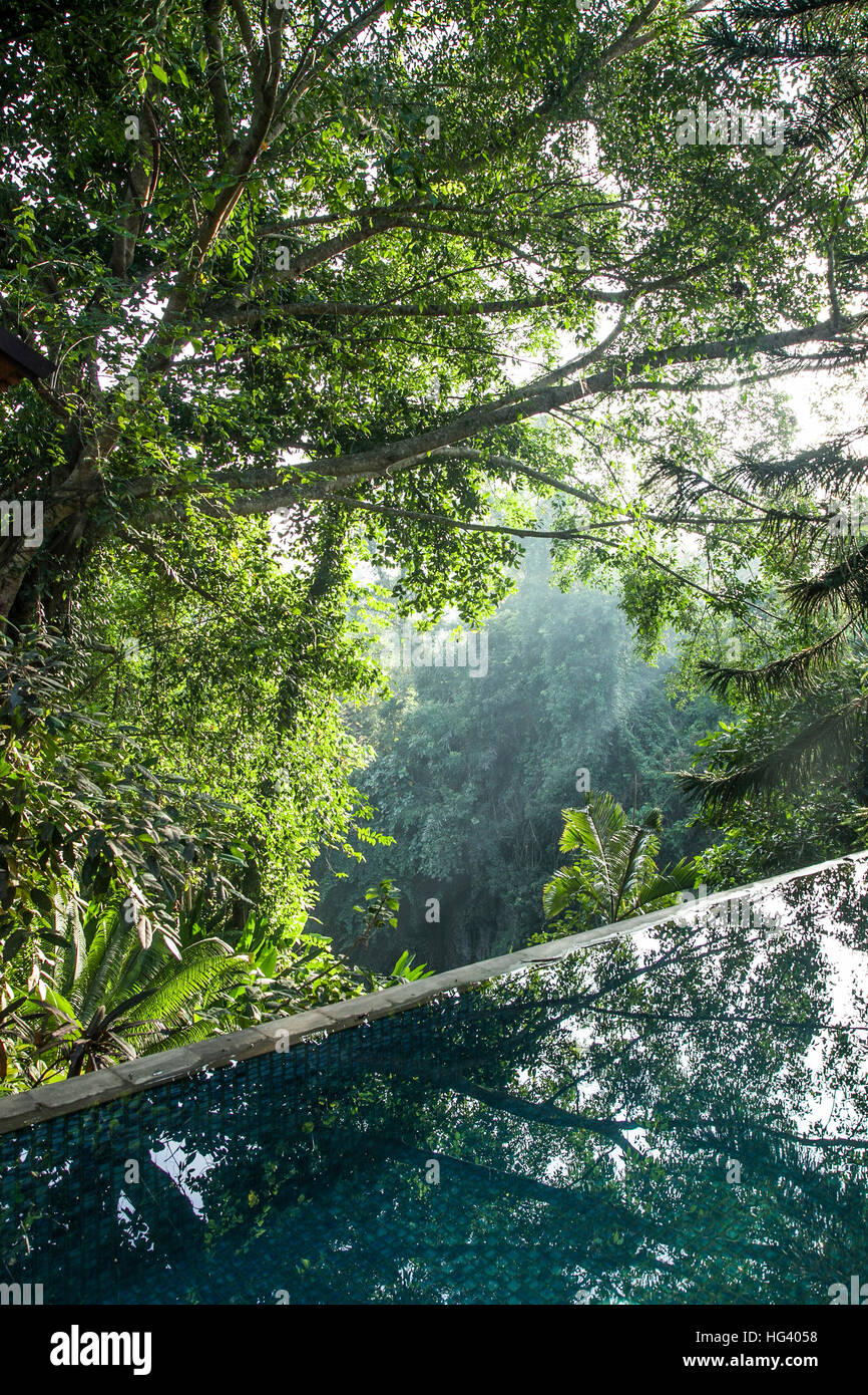 Infinity pool in forest hi-res stock photography and images - Alamy