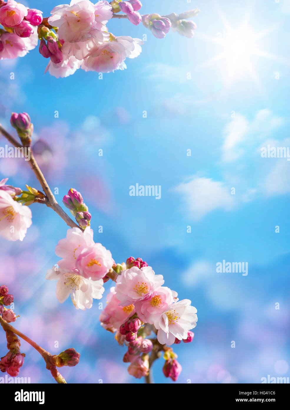 abstract floral spring background Stock Photo - Alamy
