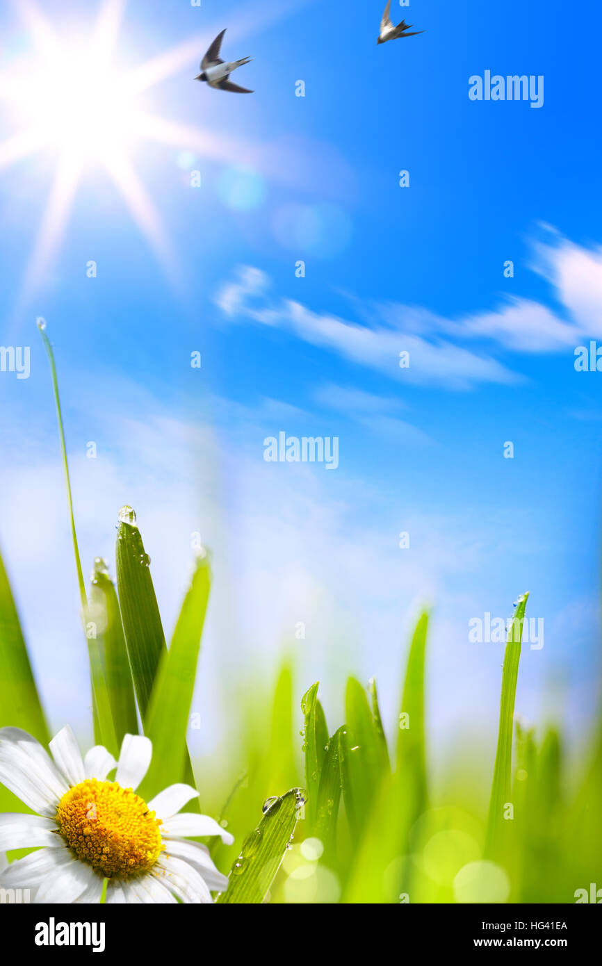 abstracts beautifu spring background Stock Photo - Alamy