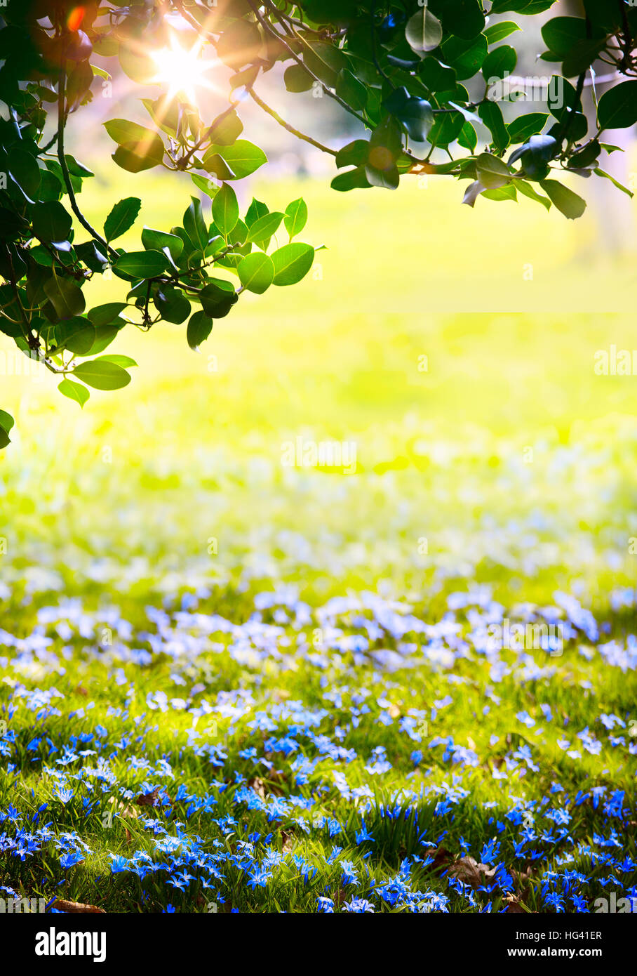 Art Sunlight in the green easter forest, spring time Stock Photo - Alamy