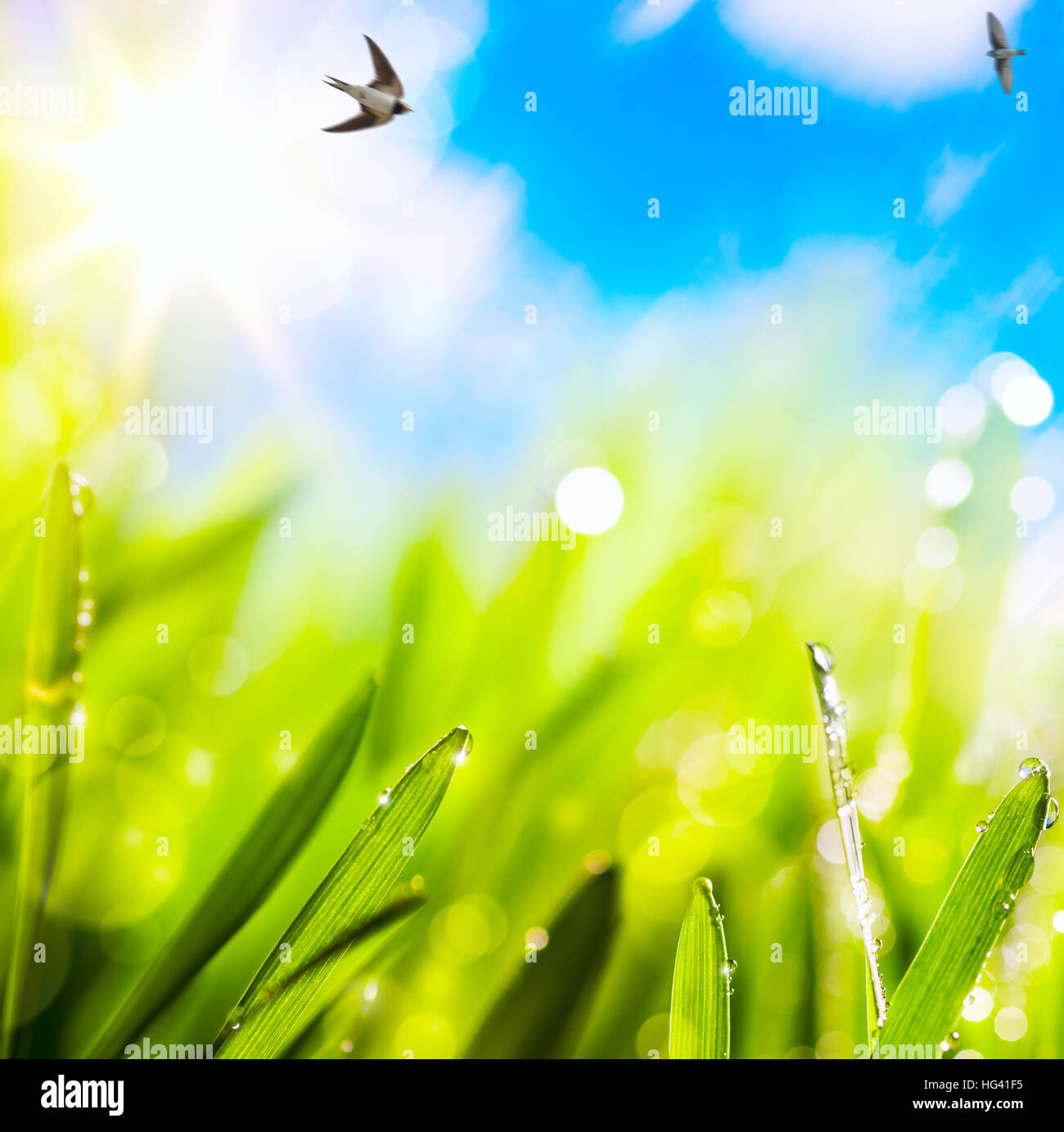 abstracts spring background Stock Photo - Alamy
