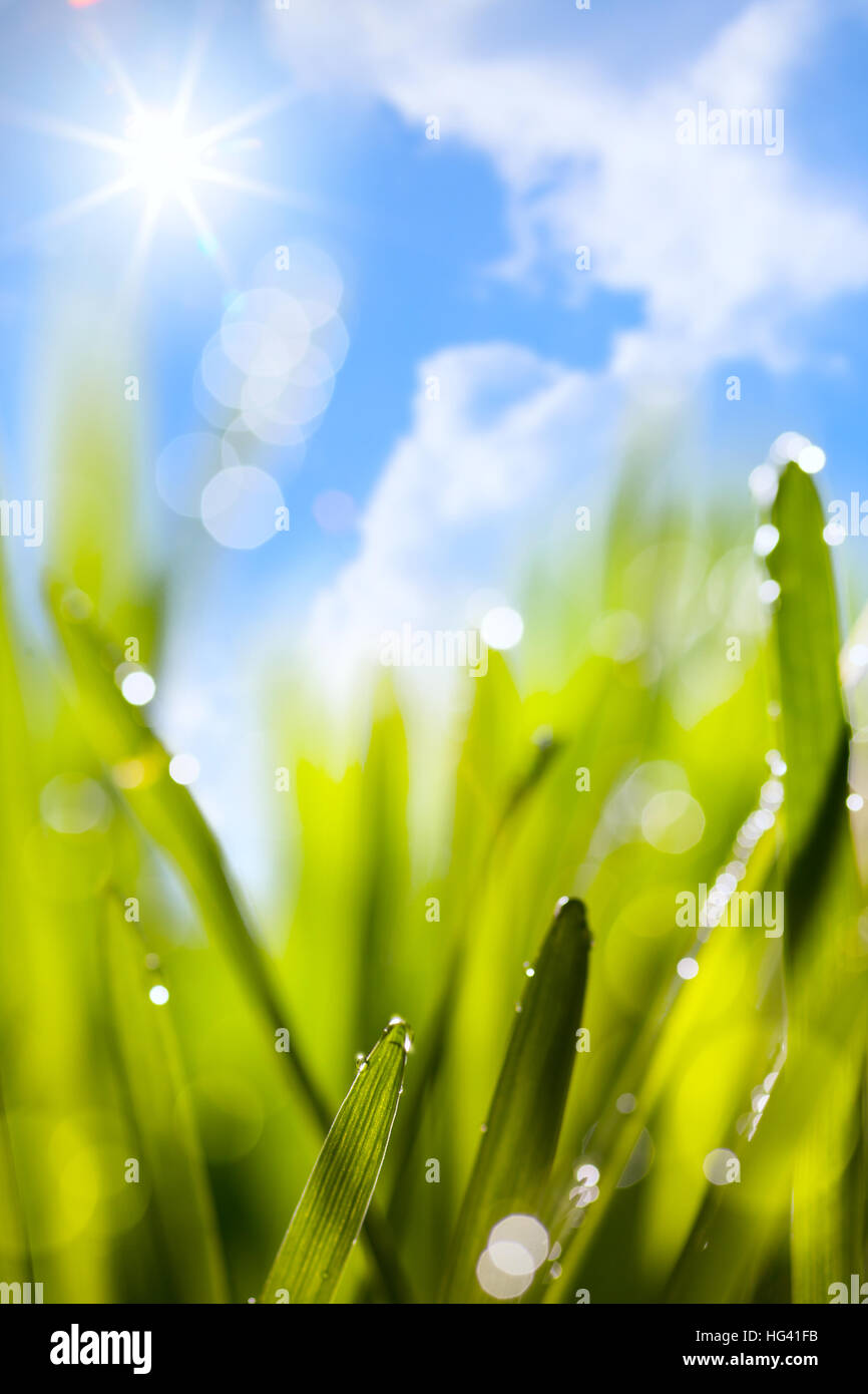 abstract art natural spring green background Stock Photo - Alamy
