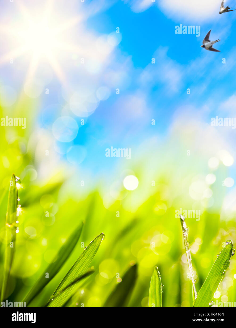 abstracts of natural spring background Stock Photo - Alamy